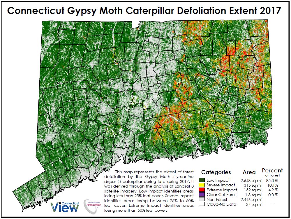Research | ConnecticutView